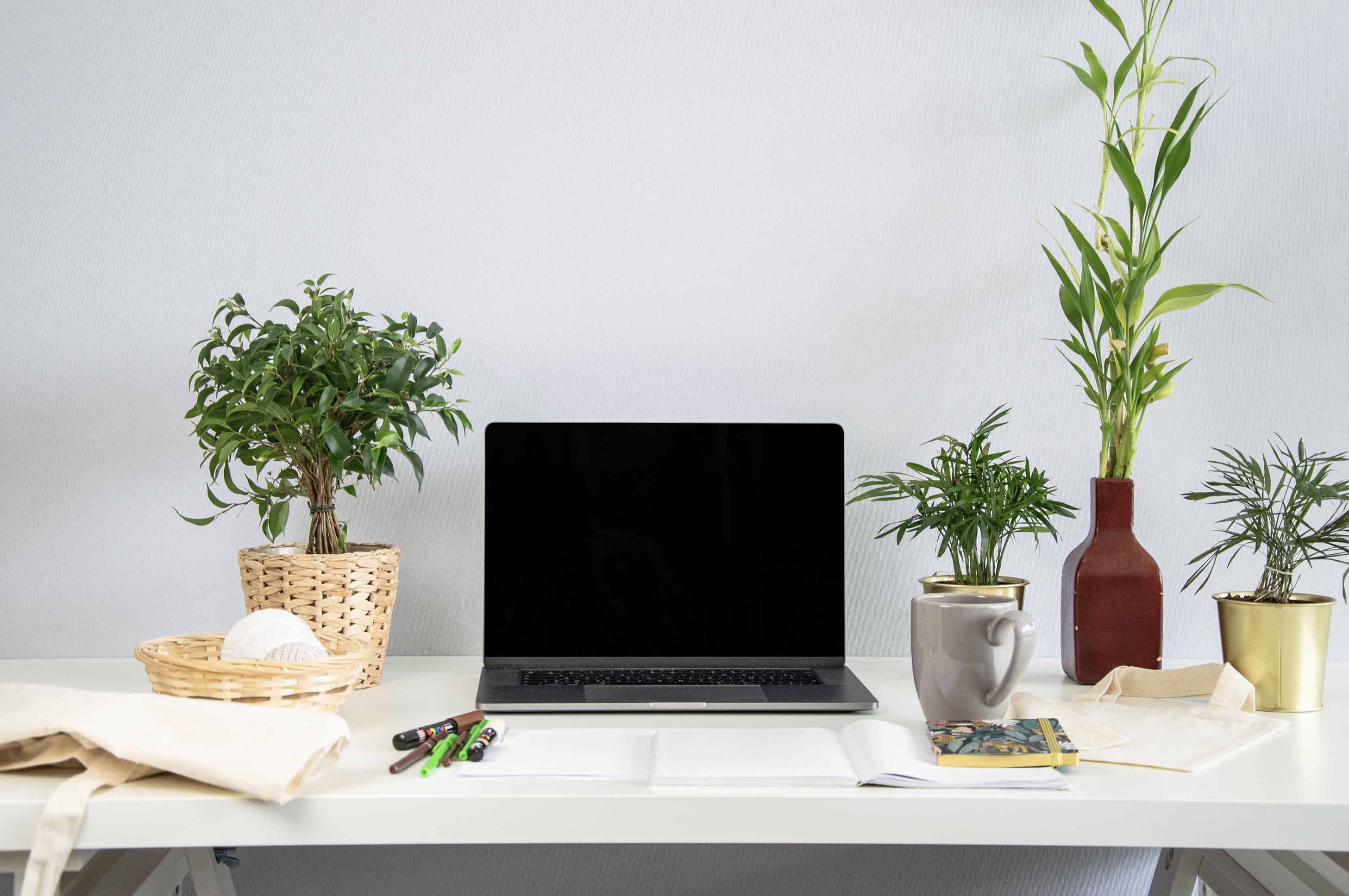 La RSE, pour qui ? Pour quoi ? | GSP Textile